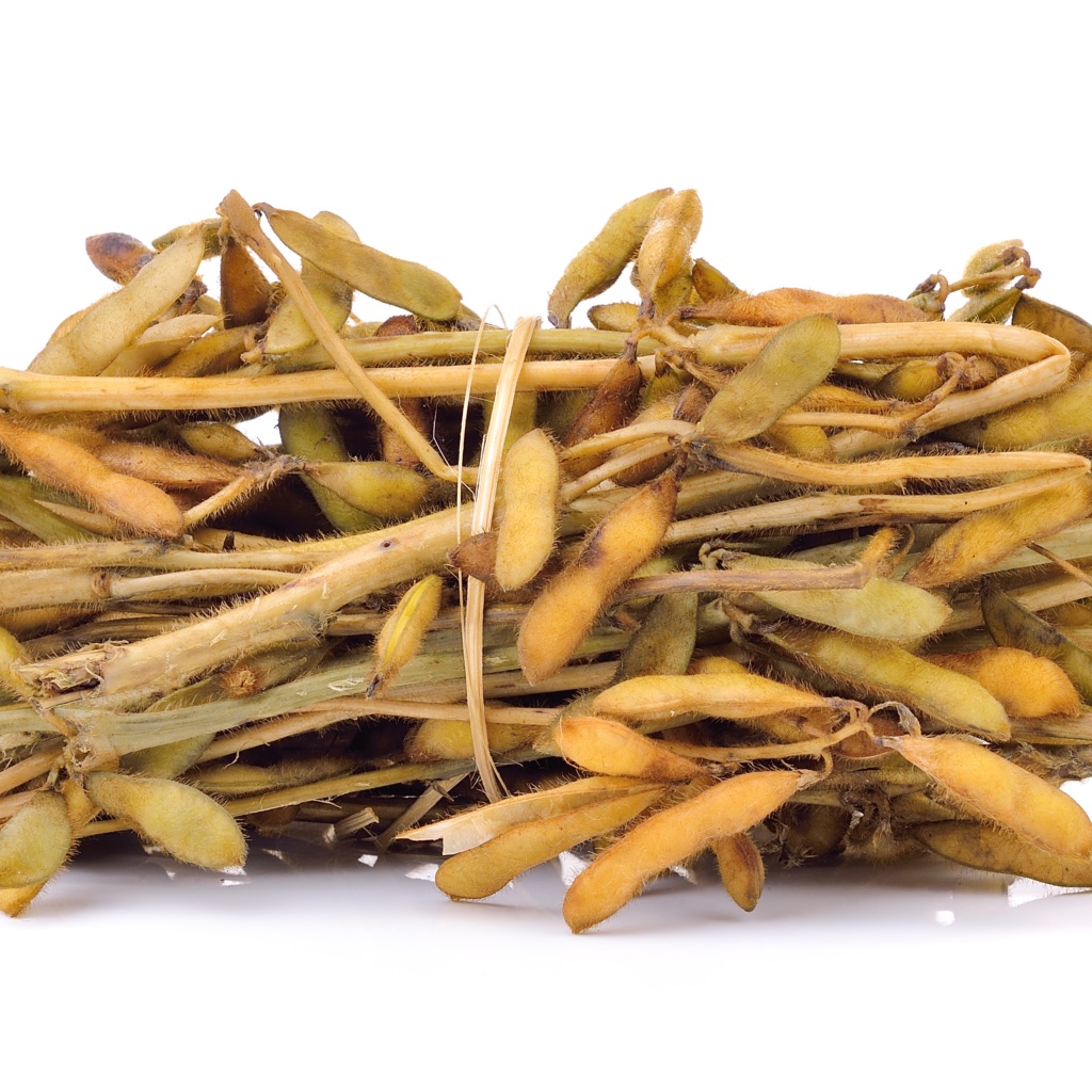⁠Legume Hulls – Inter Commodity